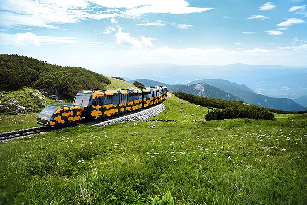 Salamander-Zug | Niederösterreich Bahnen
